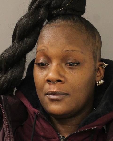 Animal Abuser Registry – Onondaga County Sheriff's Office