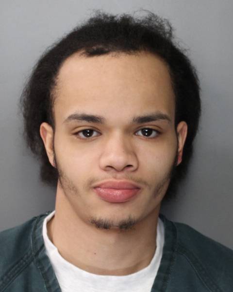 Animal Abuser Registry – Onondaga County Sheriff's Office